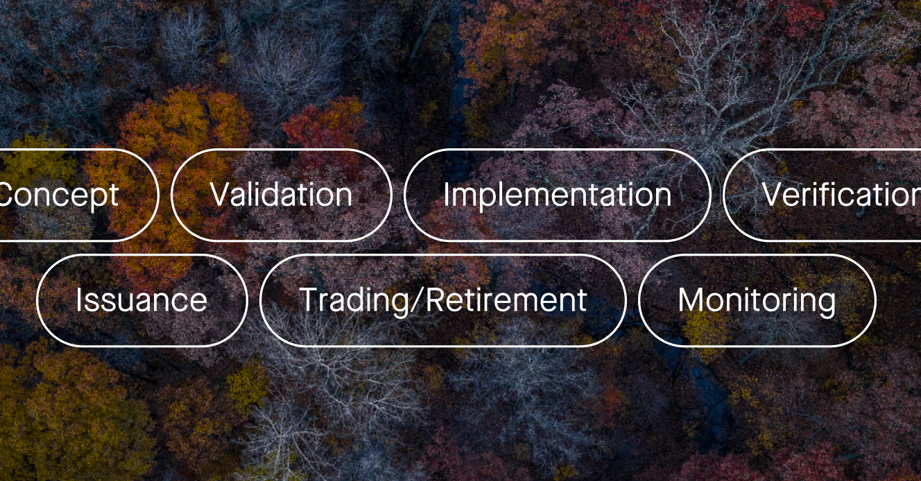 Carbon Credit Validation: What Buyers Need to Know in 2026